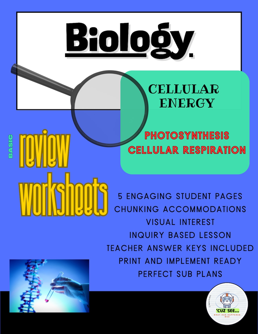 Photosynthesis and Cellular Respiration Energy Basics Review Activity ...