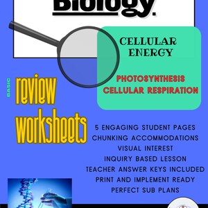 Photosynthesis and Cellular Respiration Energy Basics Review Activity ...