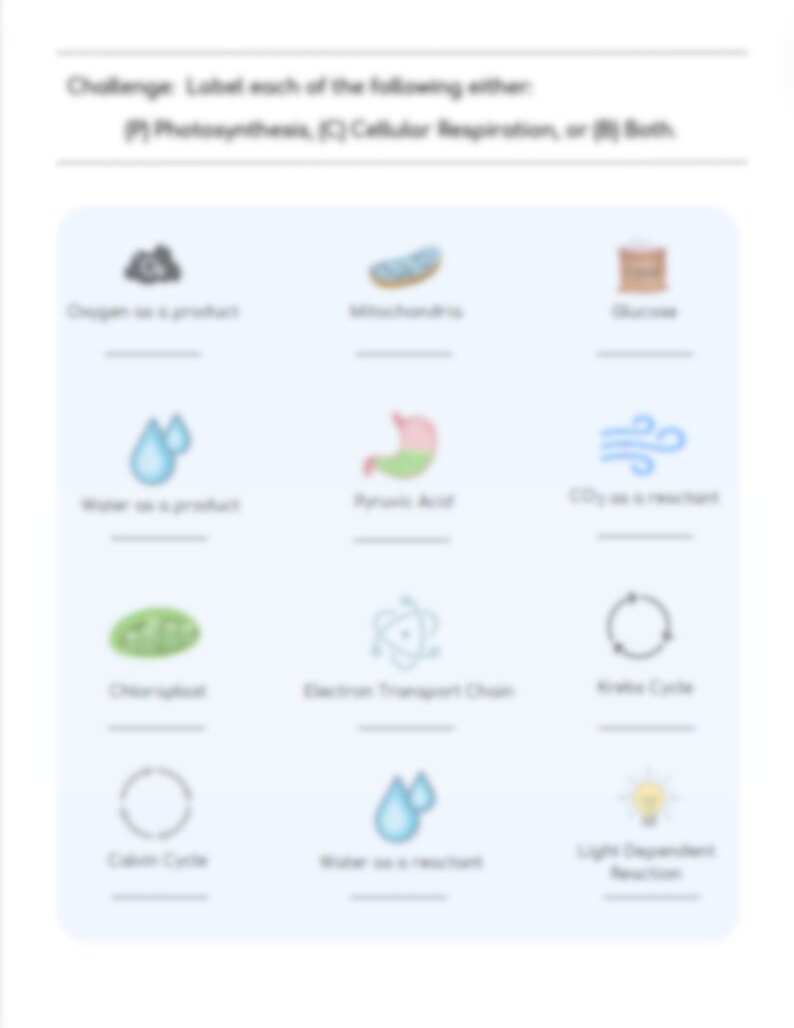 Photosynthesis and Cellular Respiration Energy Basics Review Activity ...