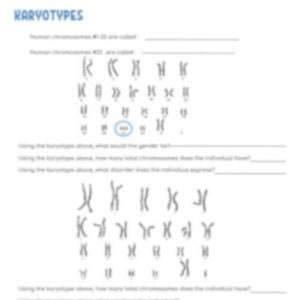 Biology Genetics Review Printable: Phenotypes, Genotypes, Karyotypes ...
