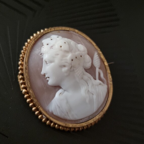 Antique Cameo Brooch on Shell, 19th Century, French W… - Gem