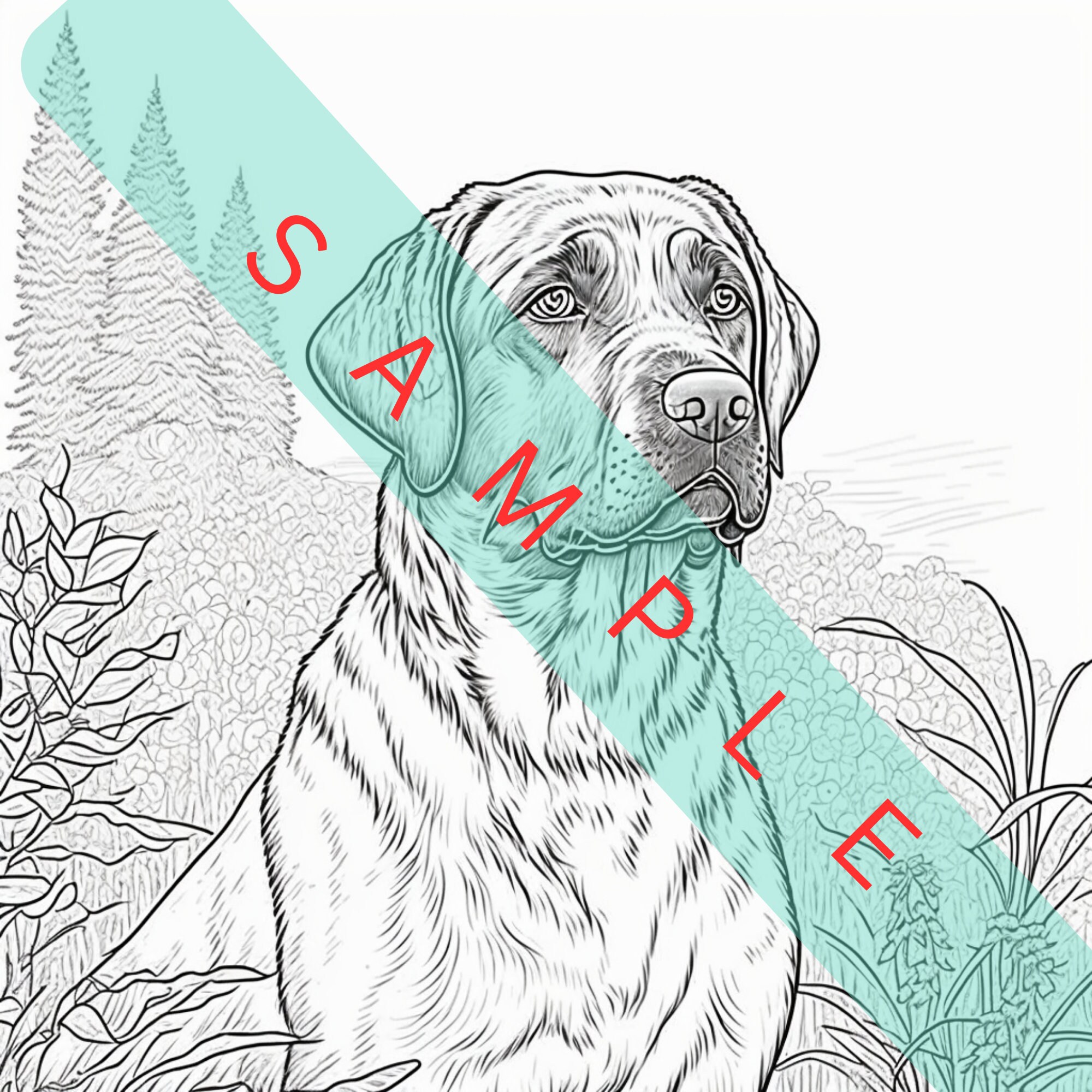 5 Coloring Sheets for Labrador Retriever Dog Lovers, Mindful for Stress ...
