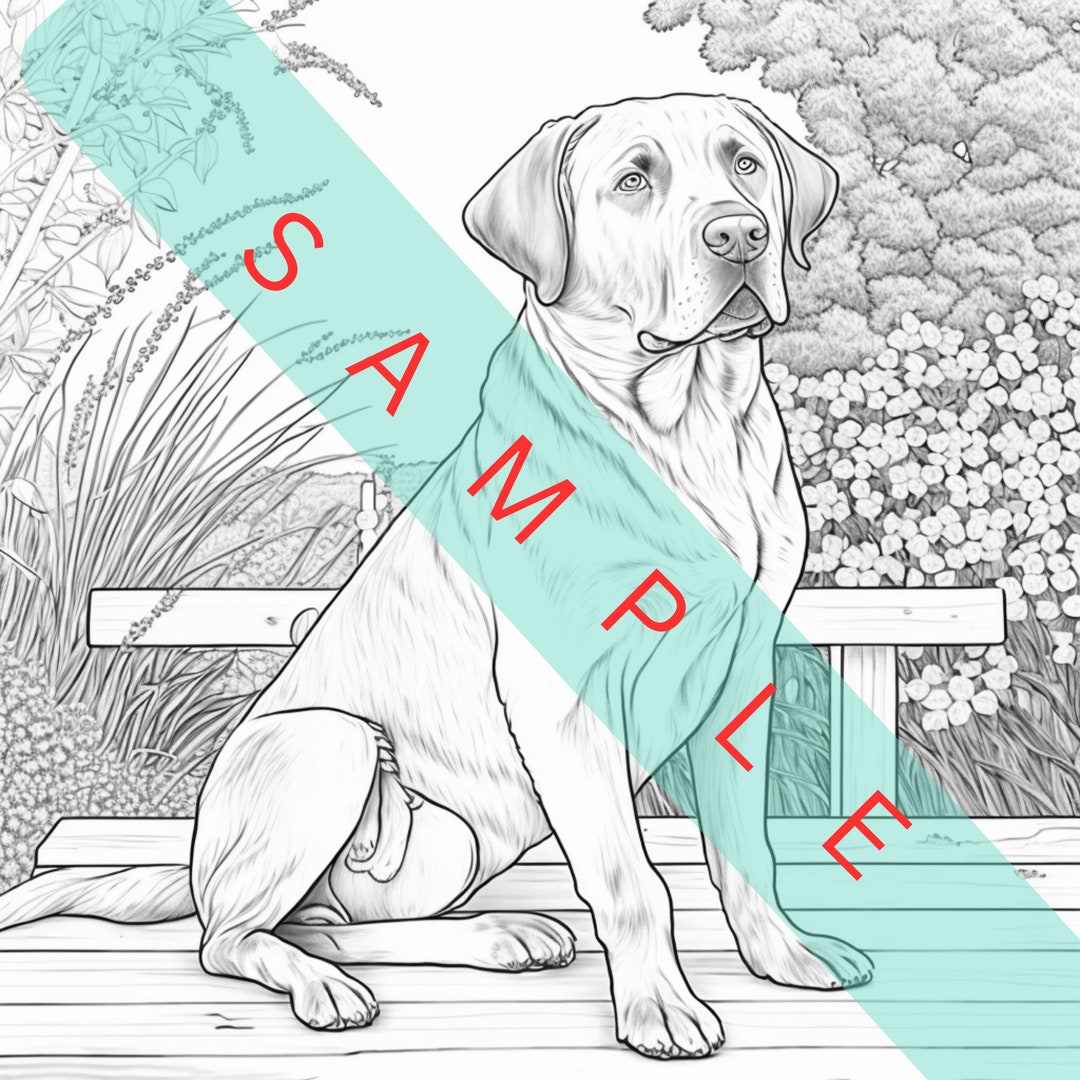 5 Coloring Sheets for Labrador Retriever Dog Lovers, Mindful for Stress ...