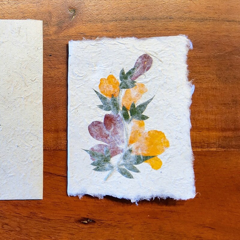 Handmade Paper Cards - Etsy