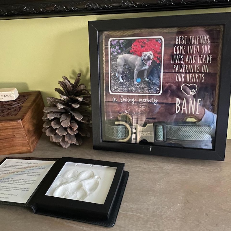 Pet Memorial Shadow Box - Etsy
