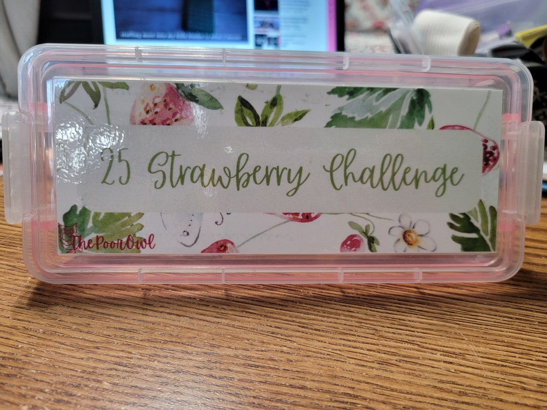 25 Savings Challenge Box - Etsy