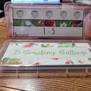 25 Savings Challenge Box - Etsy