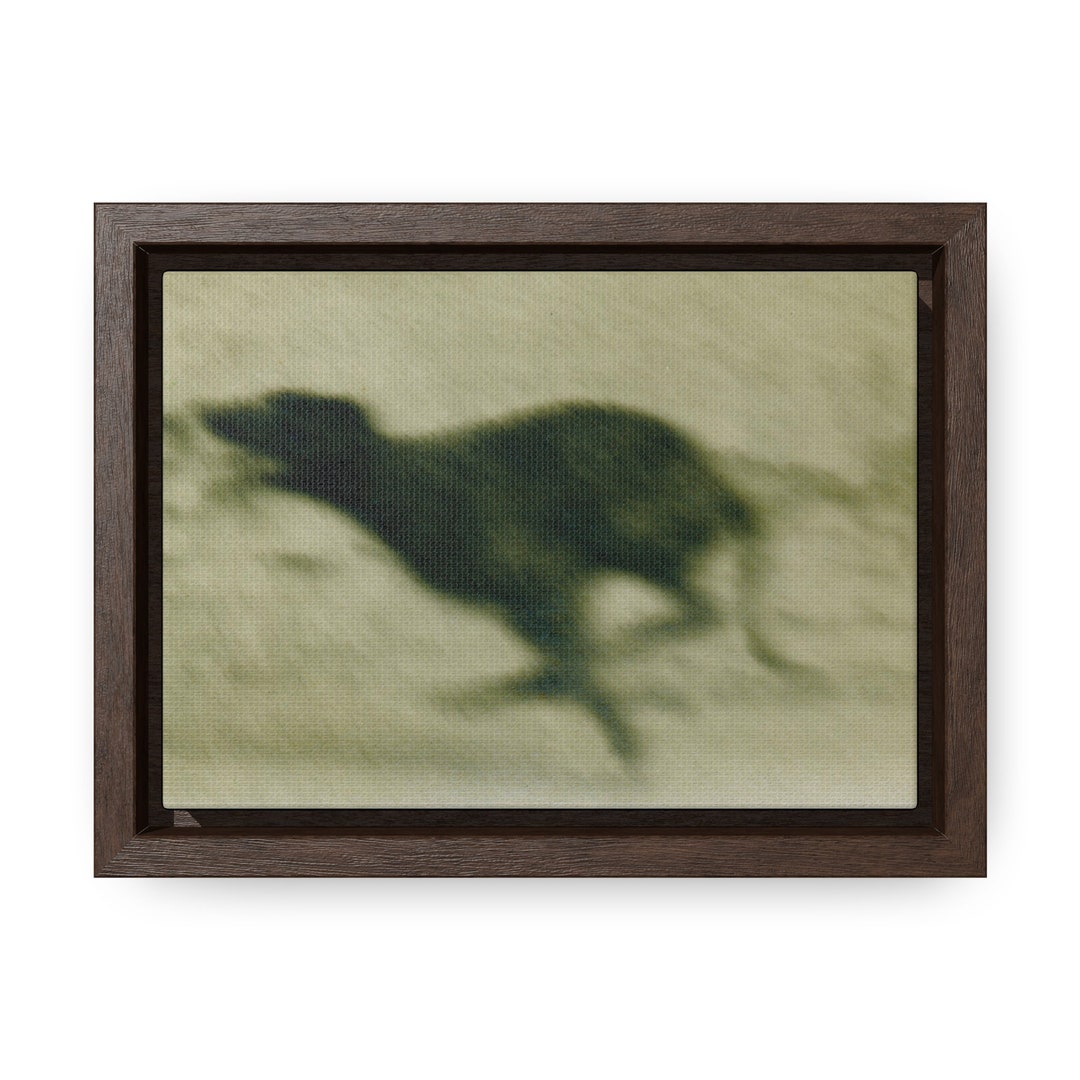 Dog Running Vintage Picture on Canva - Etsy