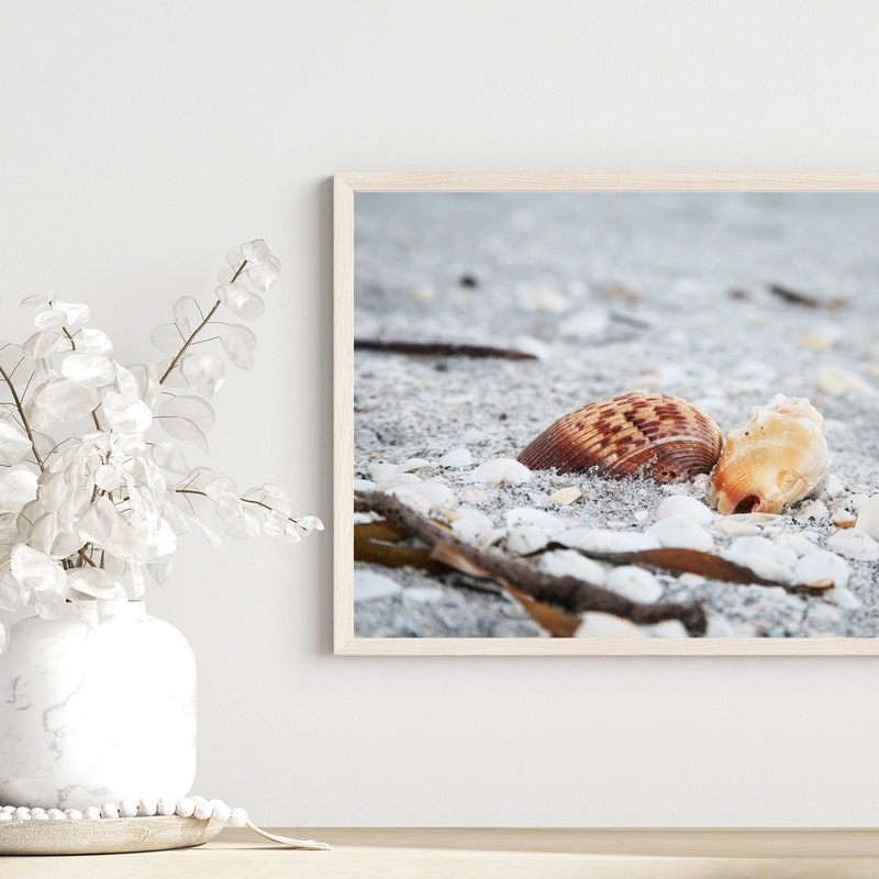 Sanibel Island Shell Art - Etsy