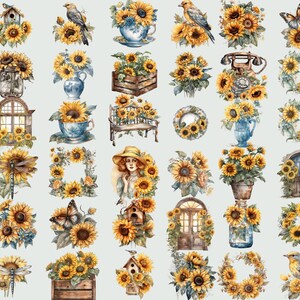Digital Clipart Illustration Set, Sunflower Vintage Garden Spring ...