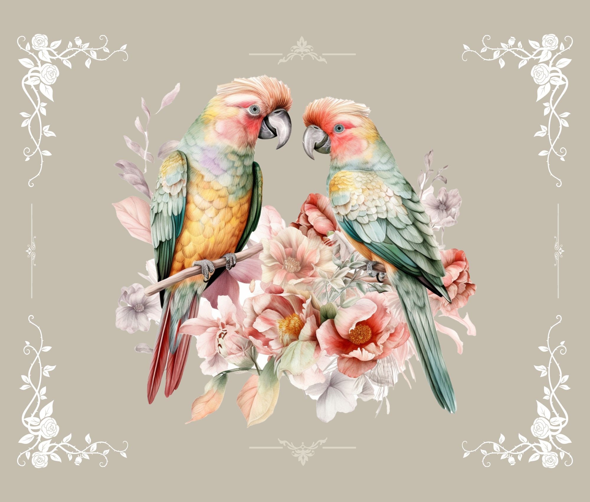 Digital Clipart Illustration Set, Cute Exotic Birds, PNG Printable ...