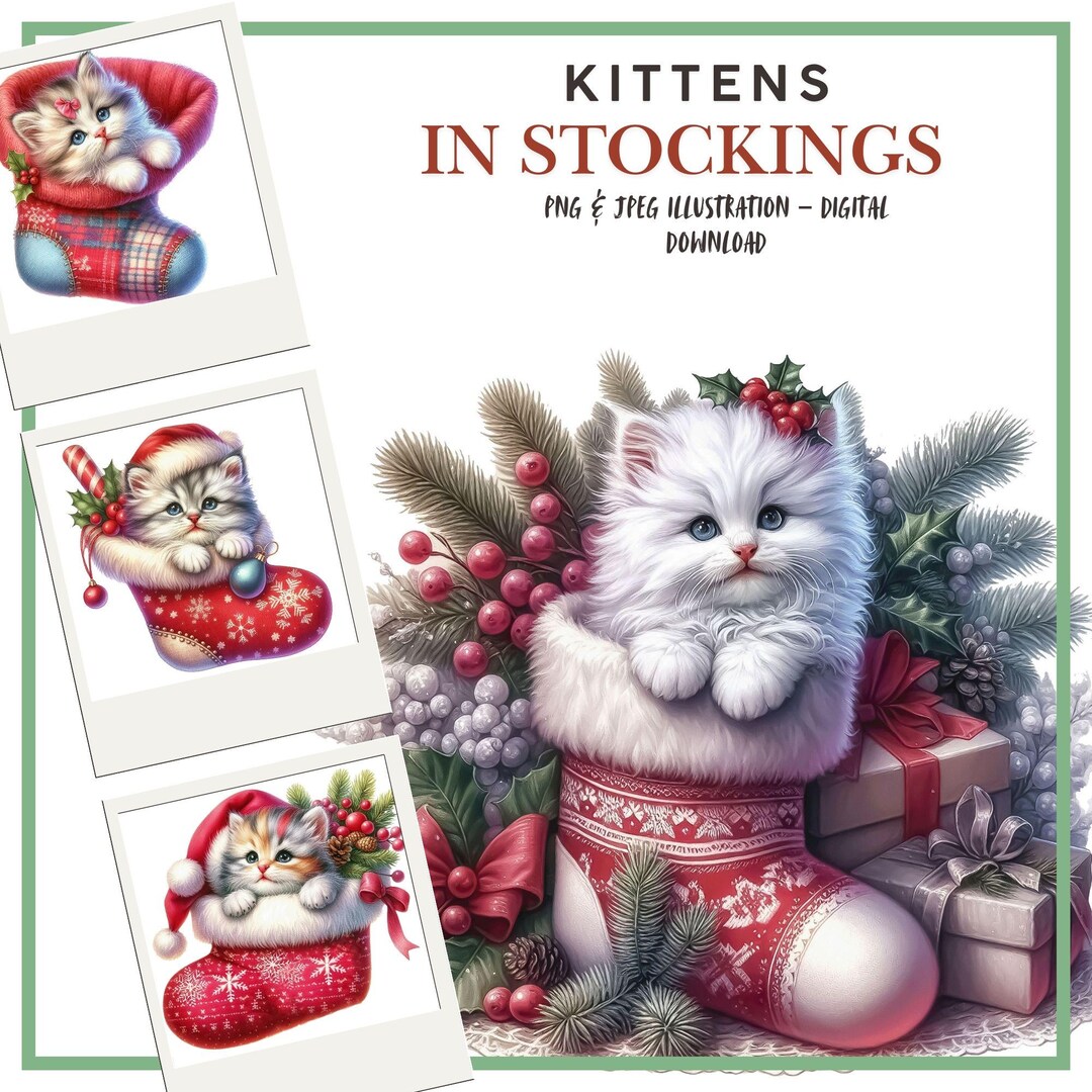 Digital Winter Clipart, Christmas Kittens in Stockings, Illustrations ...