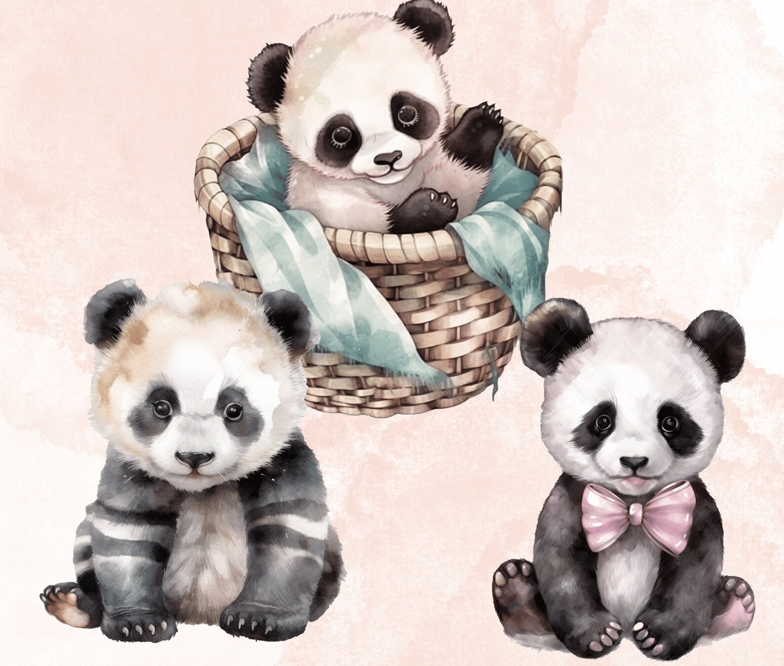 Digital Clipart Illustration Set, Cute Baby Panda, PNG Printable ...