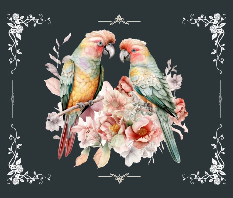 Digital Clipart Illustration Set, Cute Exotic Birds, PNG Printable ...