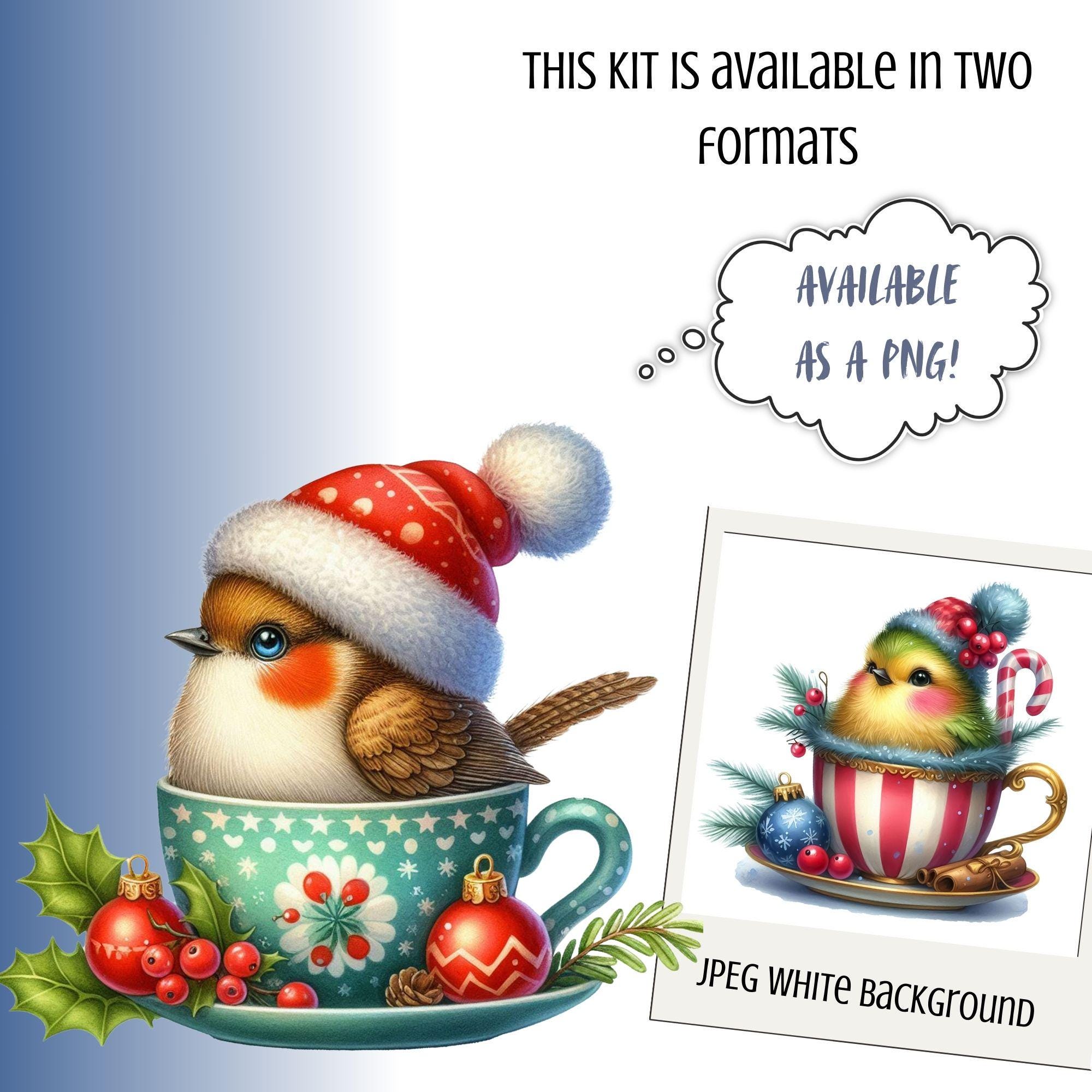 Digital Winter Clipart, Cute Christmas Birds, Illustrations for ...