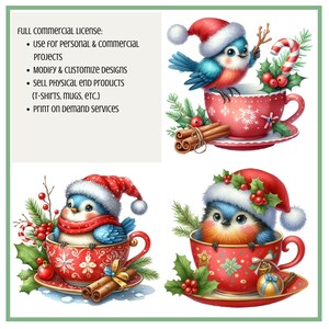 Digital Winter Clipart, Cute Christmas Birds, Illustrations for ...