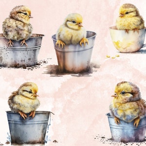 Digital Clipart Illustration Set, Easter Chicks Set, PNG Printable ...