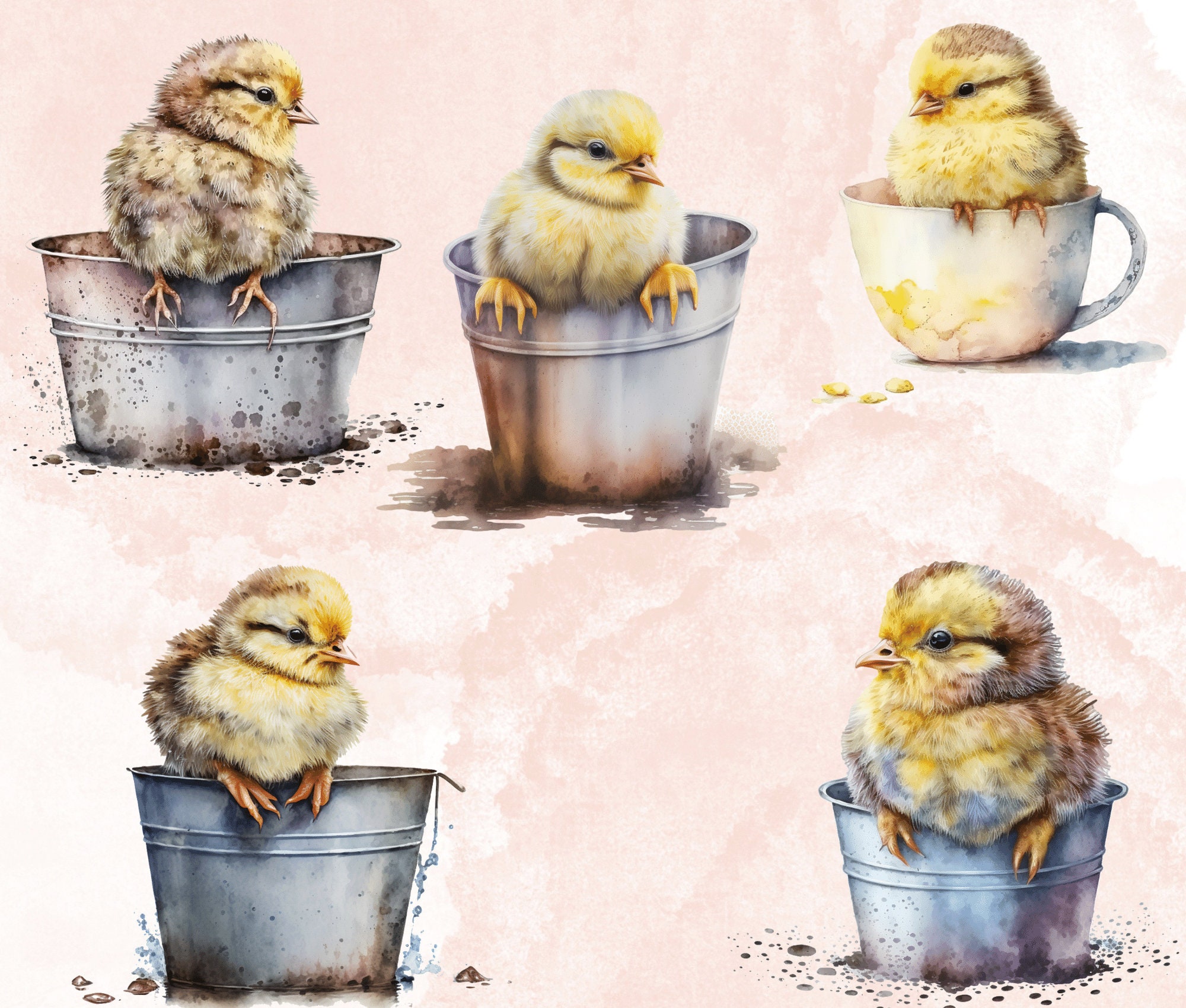 Digital Clipart Illustration Set, Easter Chicks Set, PNG Printable ...