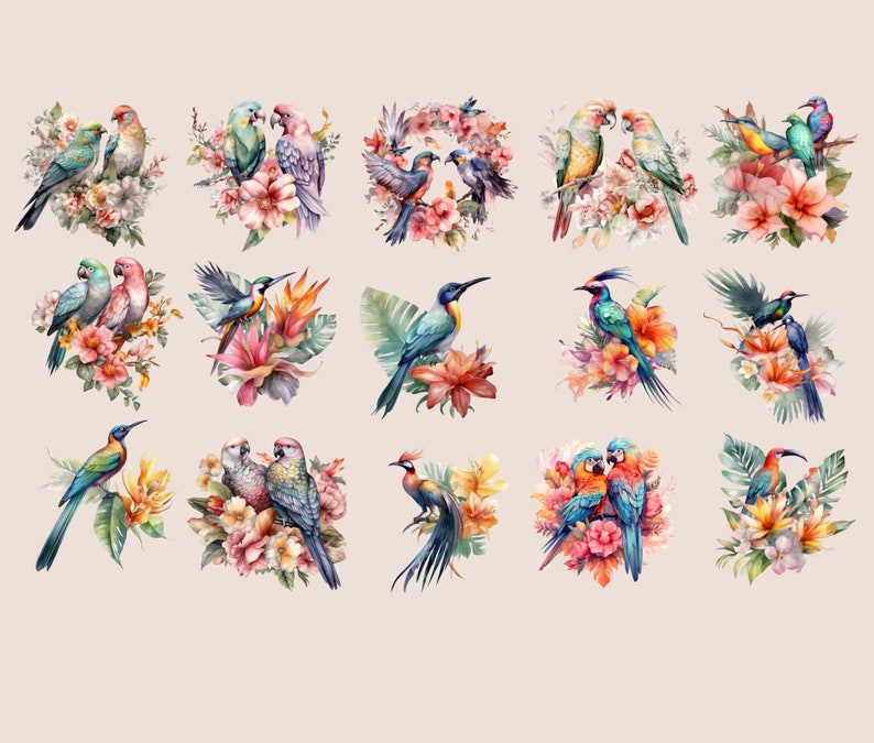 Digital Clipart Illustration Set Cute Exotic Birds PNG - Etsy