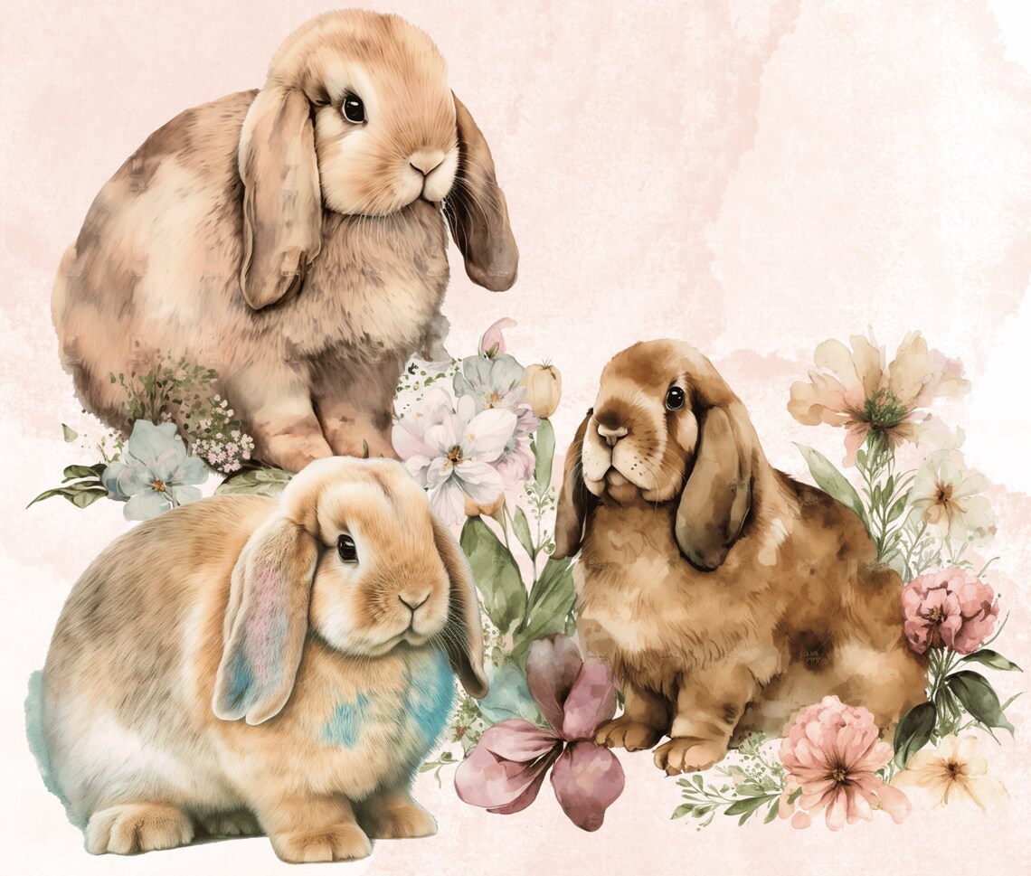 Digital Clipart Illustration Set, Cute Bunnies, PNG Printable ...