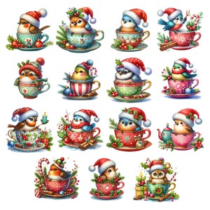 Digital Winter Clipart, Cute Christmas Birds, Illustrations for ...