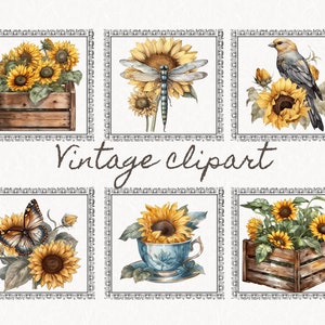 Digital Clipart Illustration Set, Sunflower Vintage Garden Spring ...