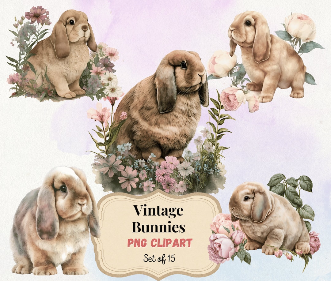 Digital Clipart Illustration Set, Cute Bunnies, PNG Printable ...