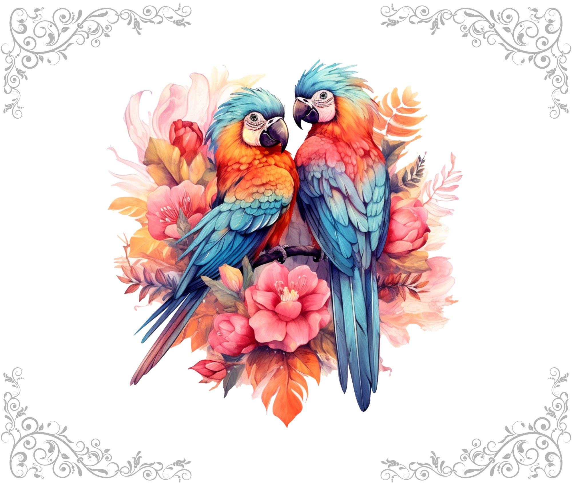 Digital Clipart Illustration Set, Cute Exotic Birds, PNG Printable ...