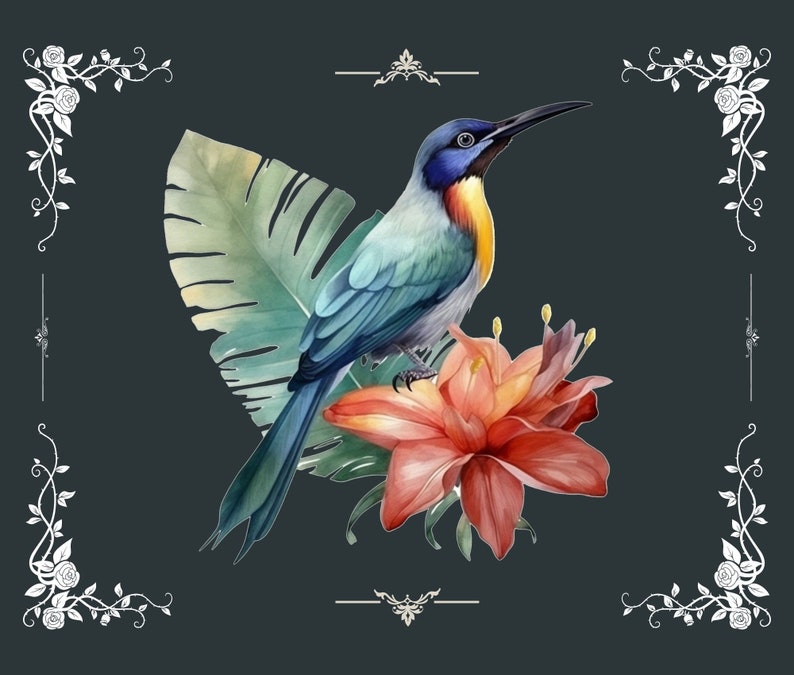 Digital Clipart Illustration Set, Cute Exotic Birds, PNG Printable ...