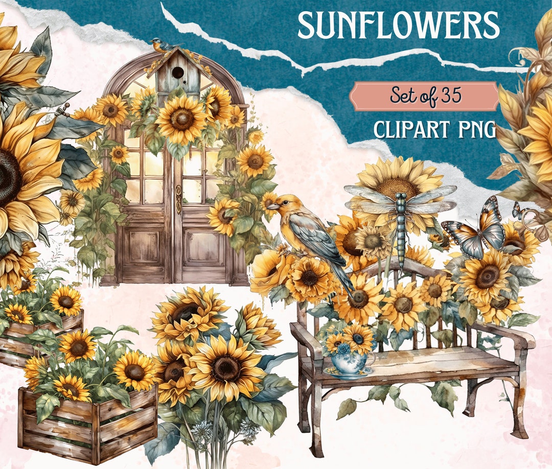 Digital Clipart Illustration Set, Sunflower Vintage Garden Spring ...