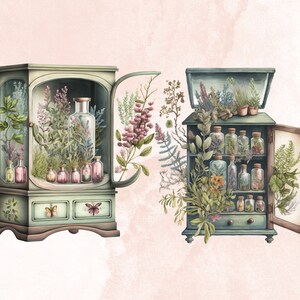 Digital Clipart Illustration Set, Vintage Watercolor Alchemy Cabinet ...