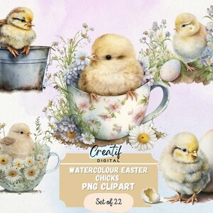 Digital Clipart Illustration Set, Easter Chicks Set, PNG Printable ...