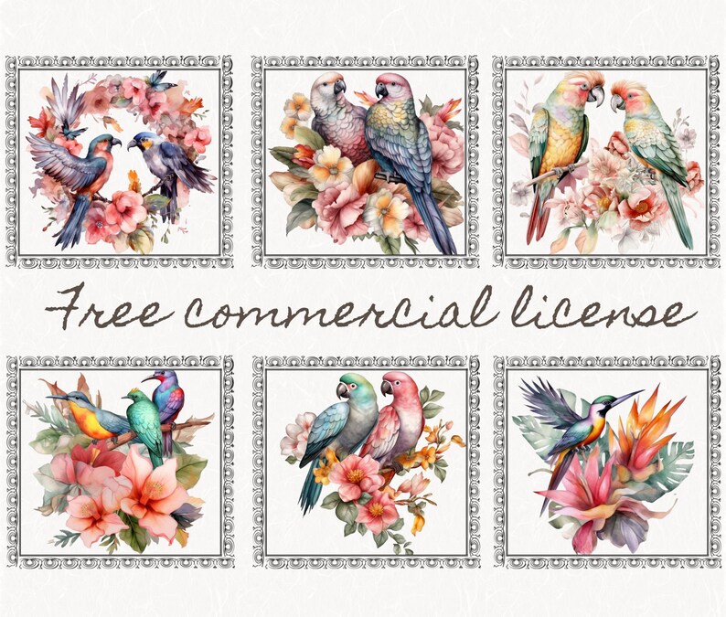 Digital Clipart Illustration Set Cute Exotic Birds PNG - Etsy
