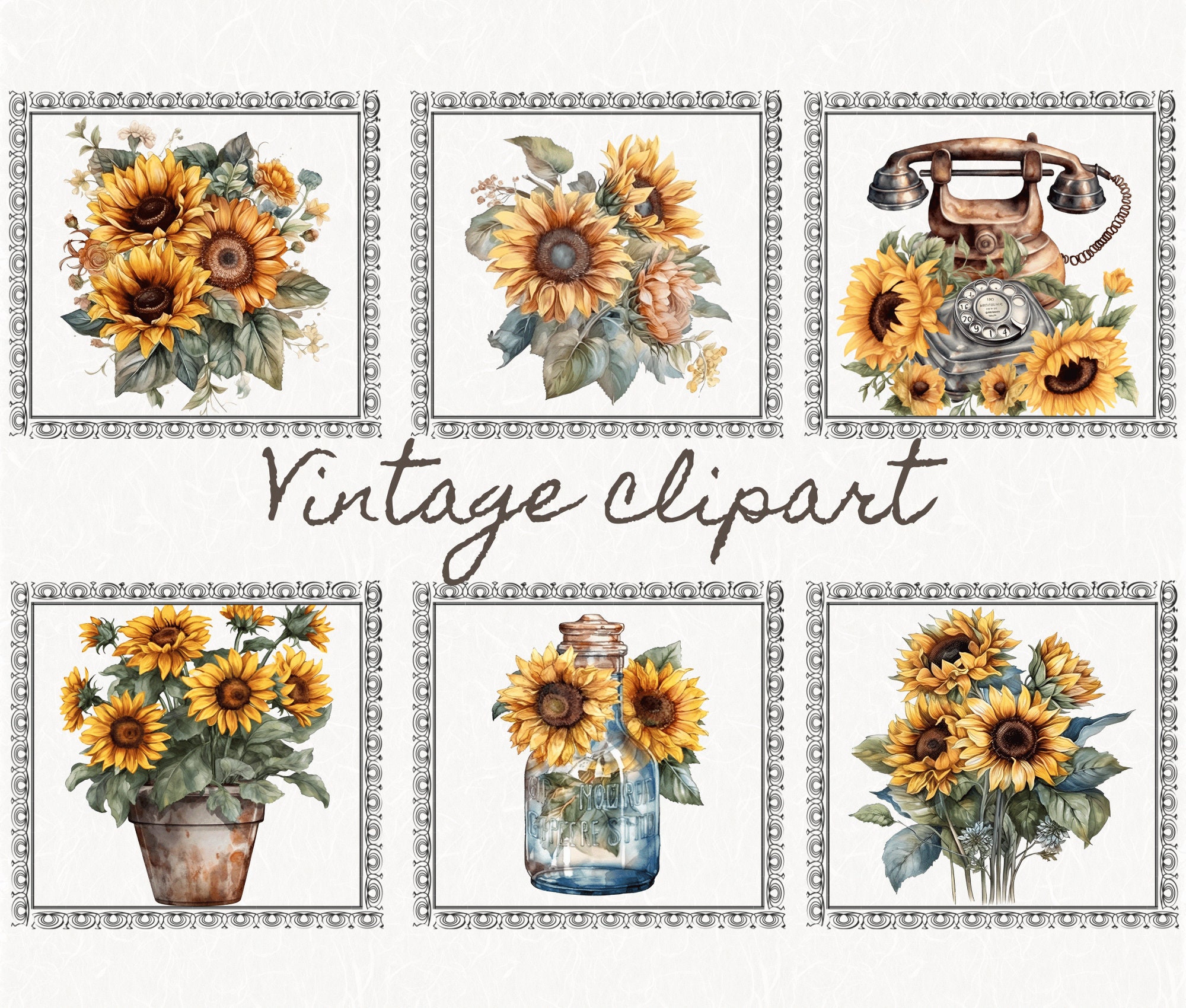 Digital Clipart Illustration Set, Sunflower Vintage Garden Spring ...