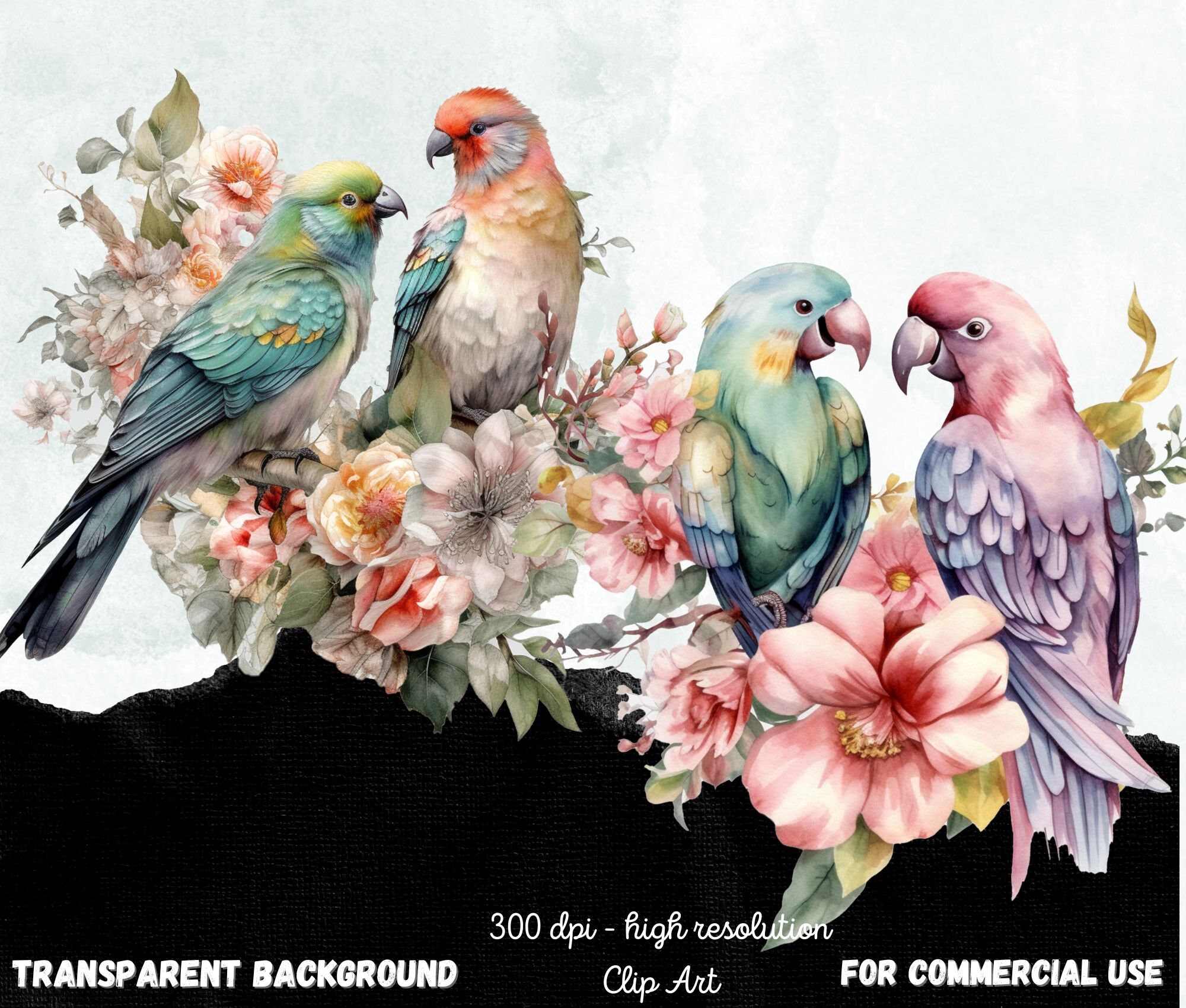 Digital Clipart Illustration Set, Cute Exotic Birds, PNG Printable ...