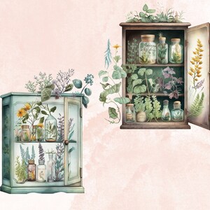 Digital Clipart Illustration Set, Vintage Watercolor Alchemy Cabinet ...
