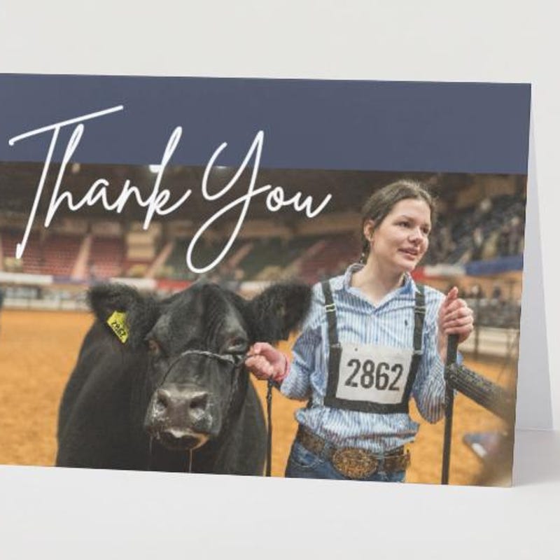 Stock Show - Etsy