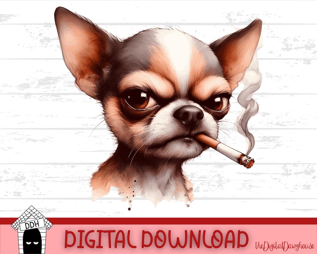 Funny Smoking Chihuahua T-shirt Meme PNG, Cool Dog Cartoon, Retro ...