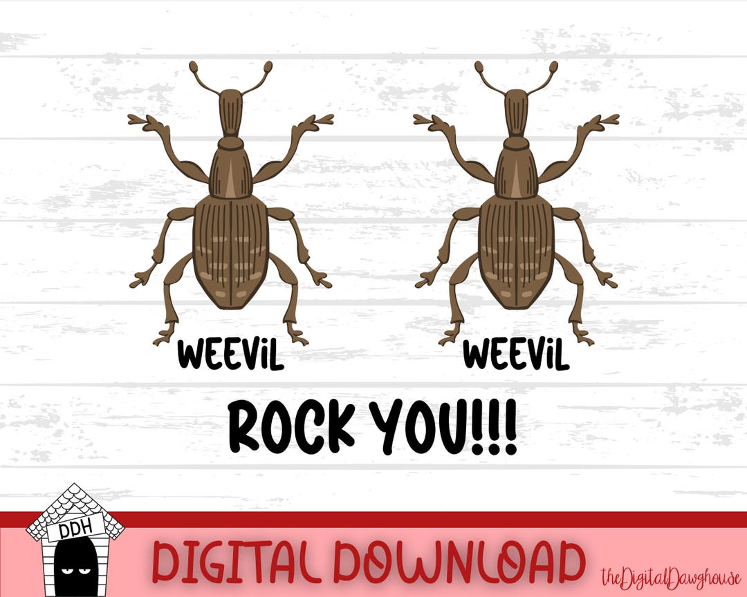 Weevil Weevil Rock You Funny T-shirt PNG Design Bug Joke Gift Digital ...