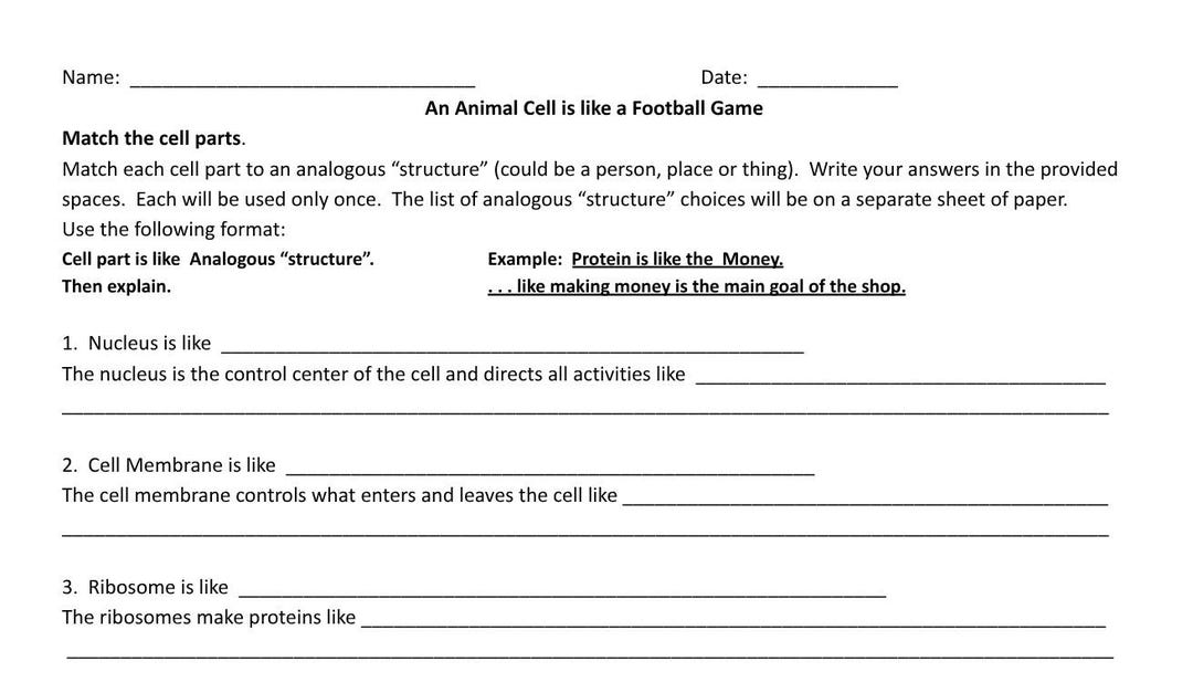 Animal Cell Analogy - A Cell is Like a Football Game - Etsy