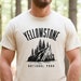 Tree Diagram T Shirt Gift for Outdoor Lover, Trees T Shirts, Forest Tee ...