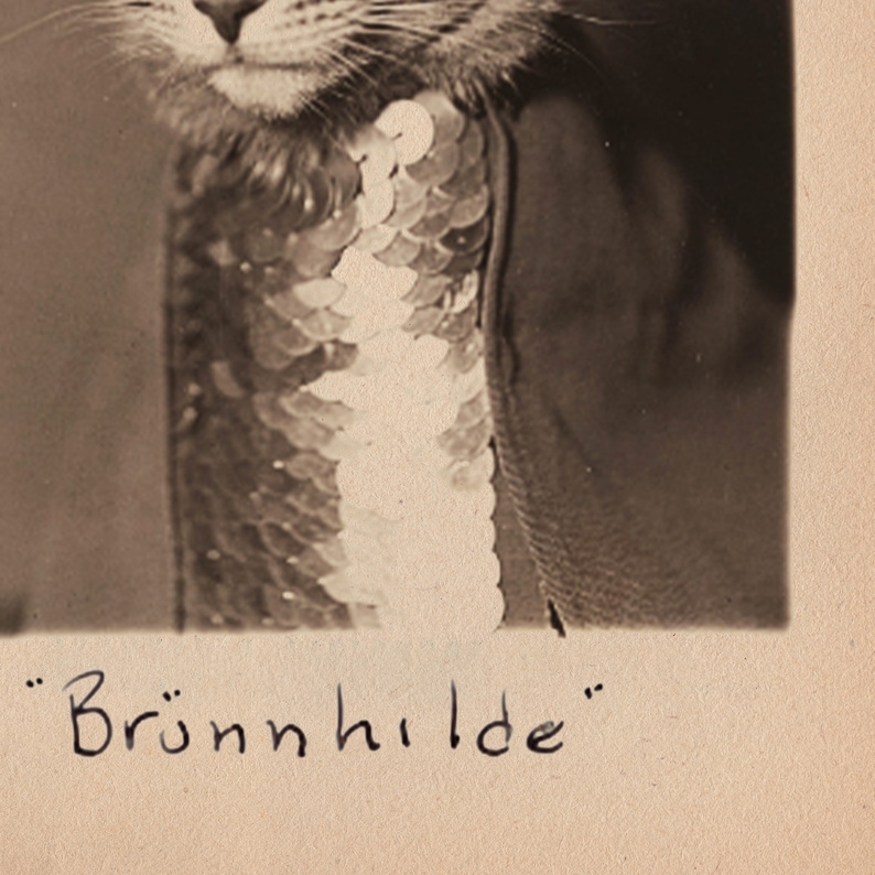 Valkyrie Brunnhilde Cat Vintage Photo Print, Antique Cat Photo Art, Cat ...