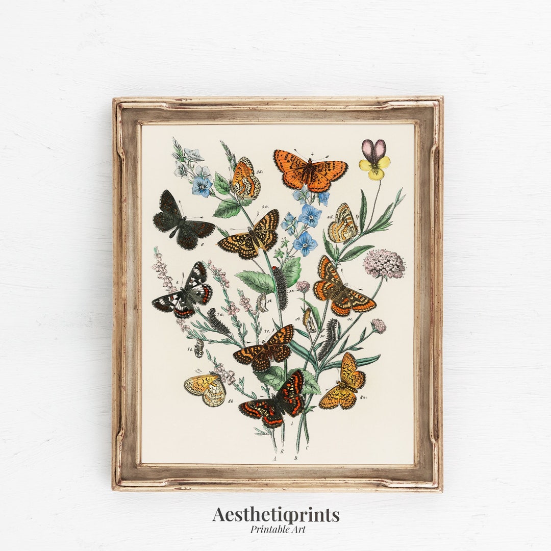 Cottagecore Butterflies and Moths Illustration Printable Art, Vintage ...