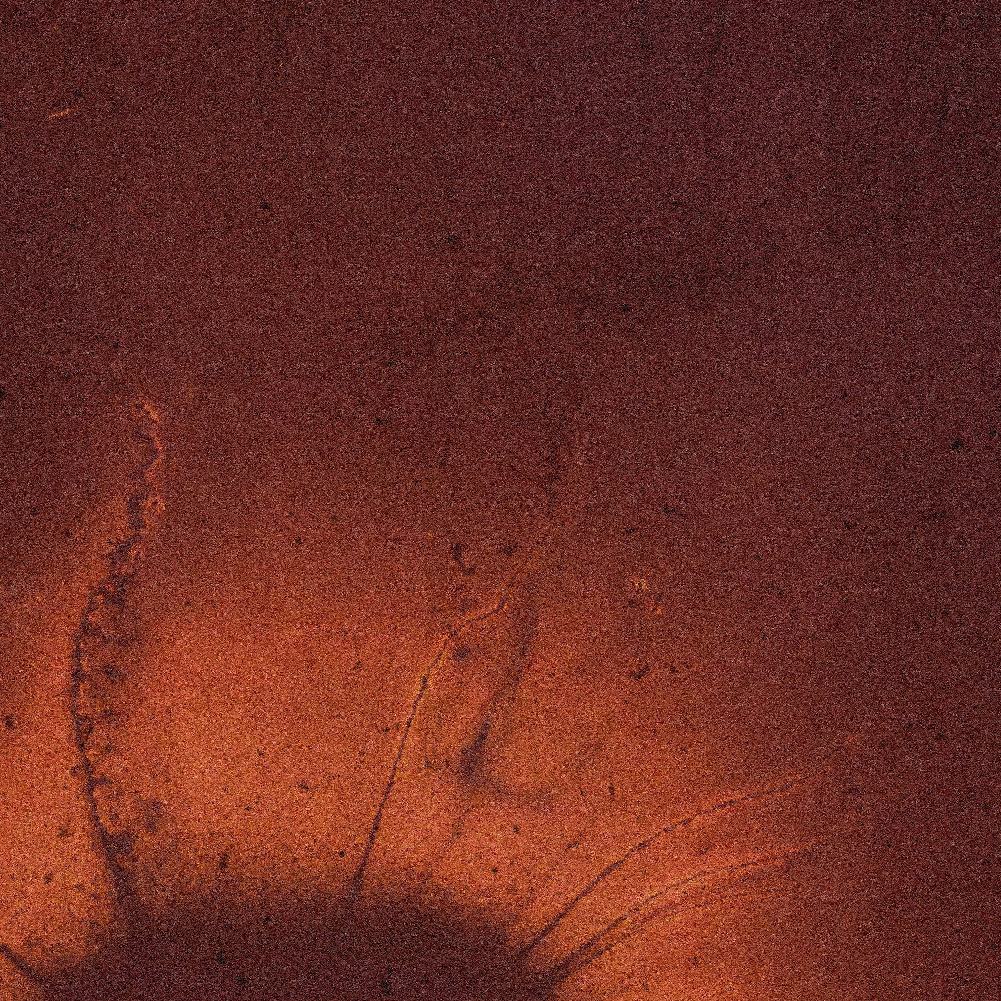 Vintage Red Blood Cell Art Print, Aesthetic Dark Moody Wall Art, Dark ...