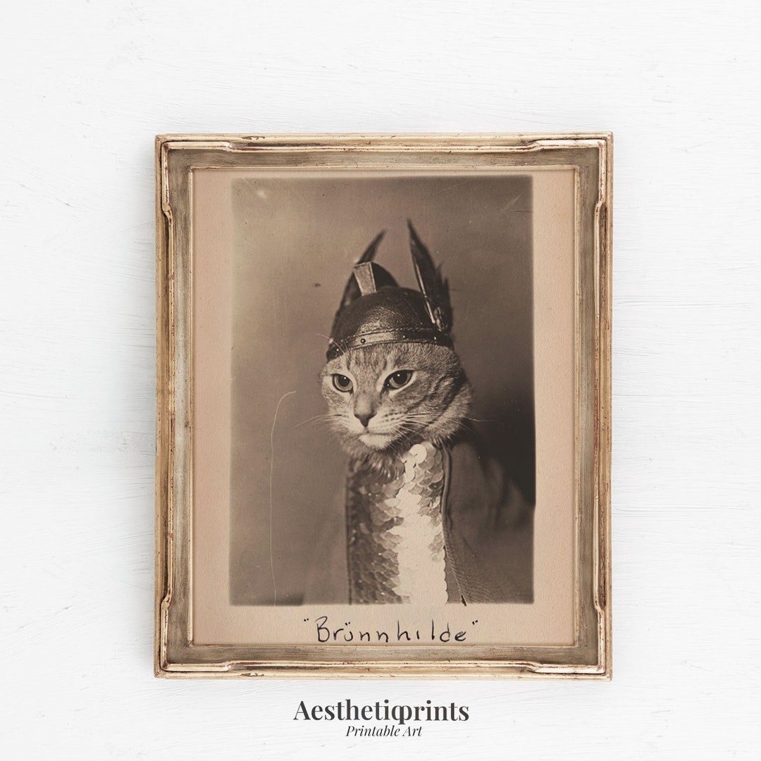 Valkyrie Brunnhilde Cat Vintage Photo Print, Antique Cat Photo Art, Cat ...