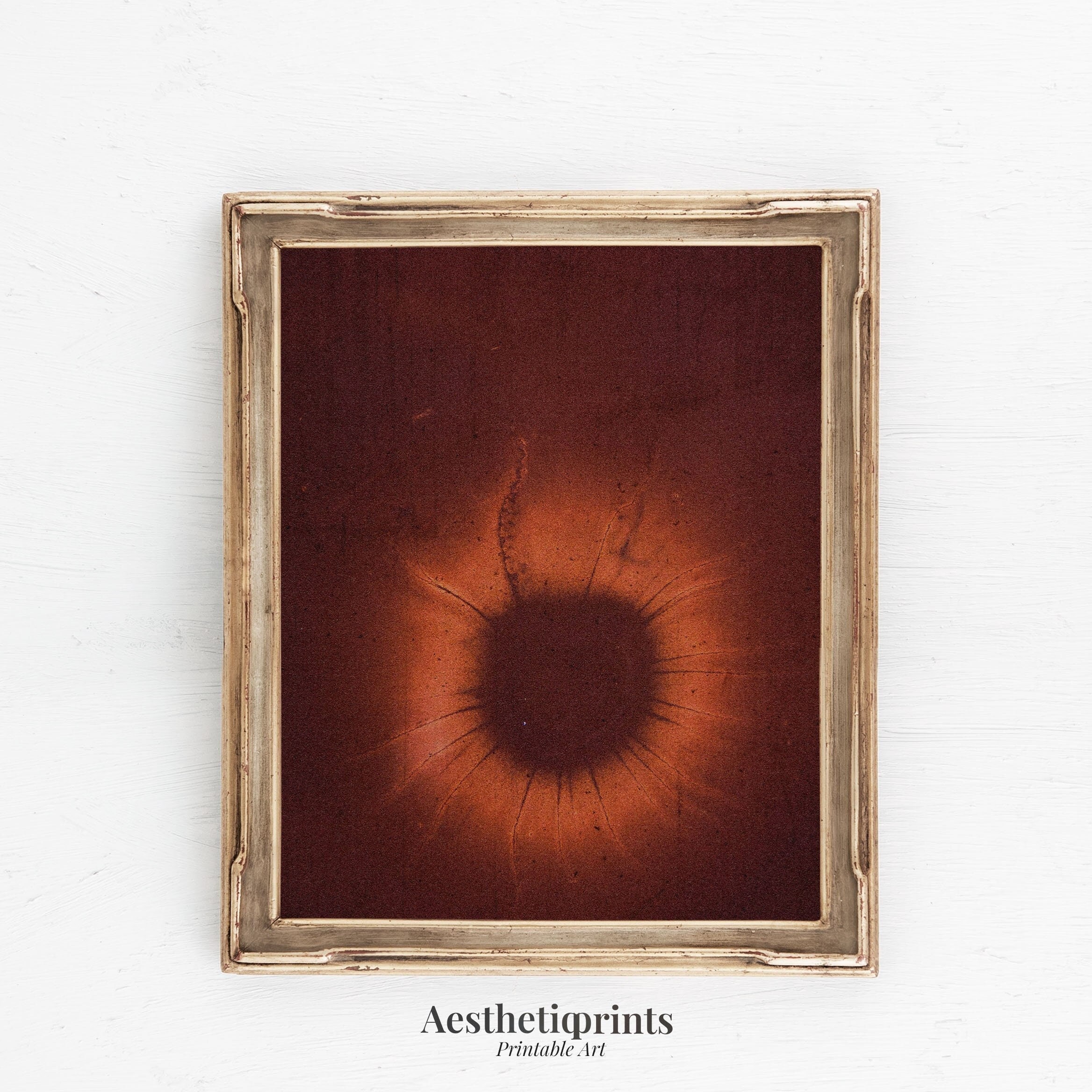 Vintage Red Blood Cell Art Print, Aesthetic Dark Moody Wall Art, Dark ...