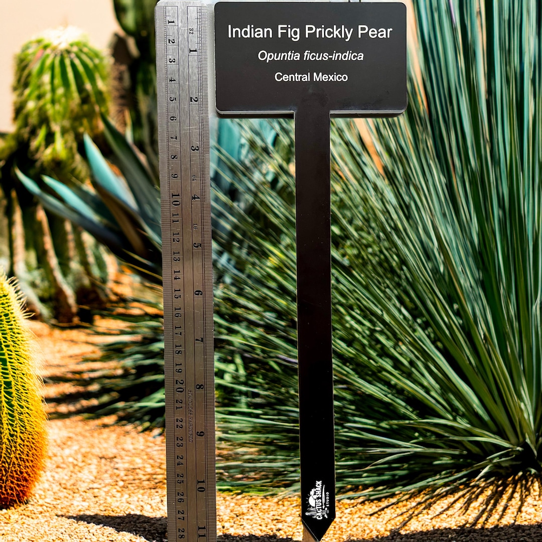 Plant Tag & Stake Large (3 Pack) | Acrylic Plant Tag With Integrated ...