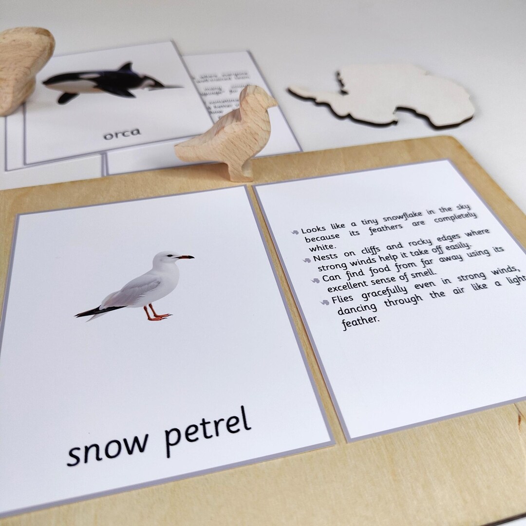 Montessori Animal Facts Cards, Animals of the Continents, Animals ...