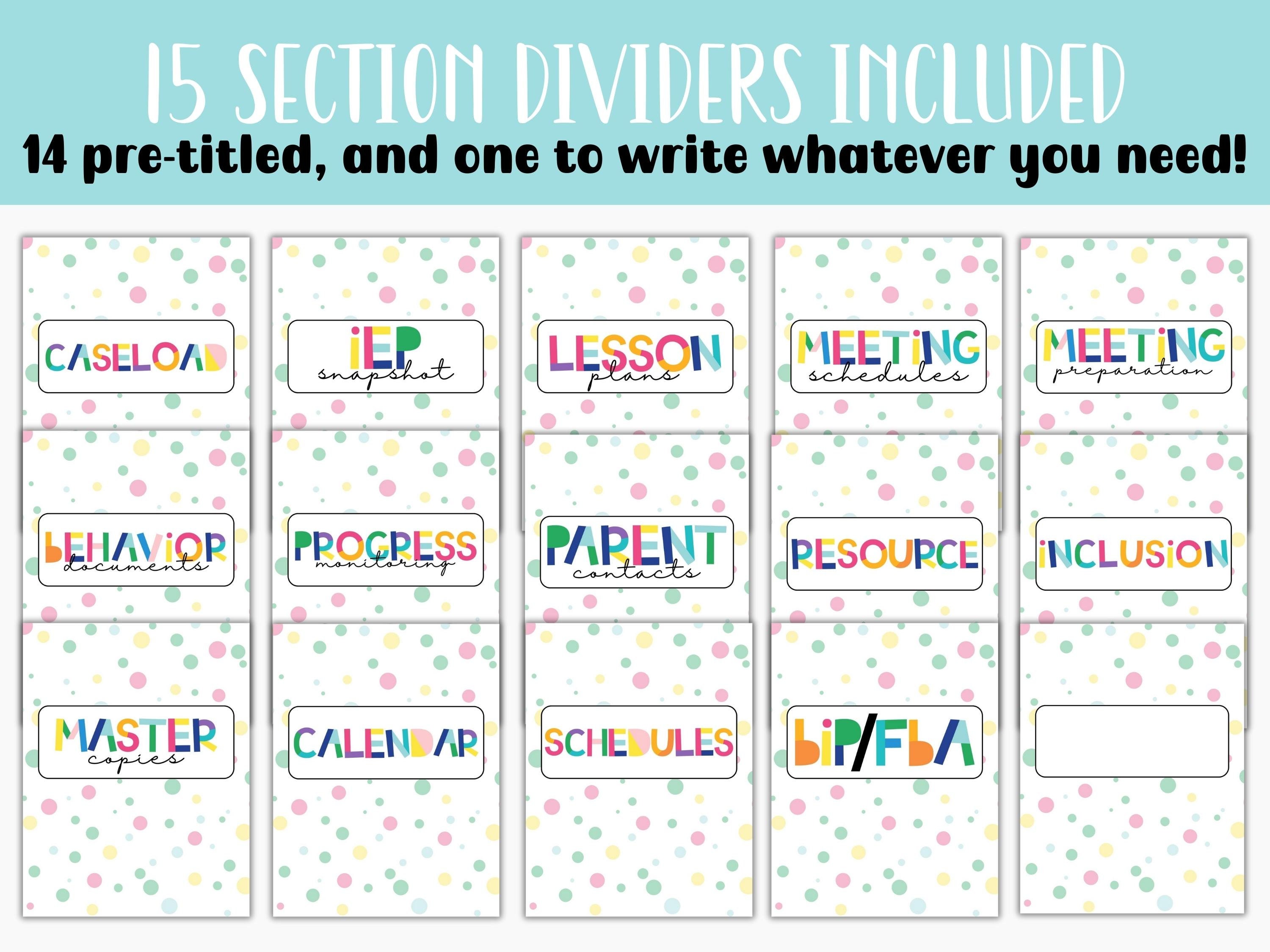 Printable Special Education Planner Binder, Caseload Templates, Section ...
