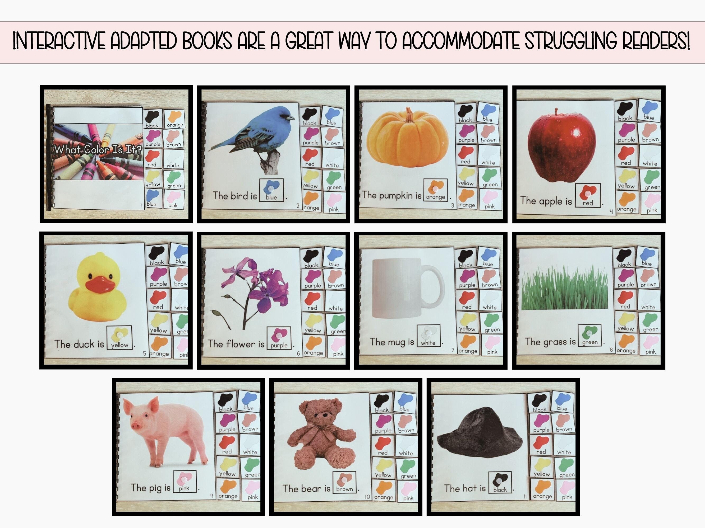 Color Identification Adapted Book, Special Education Resources, Adapted ...